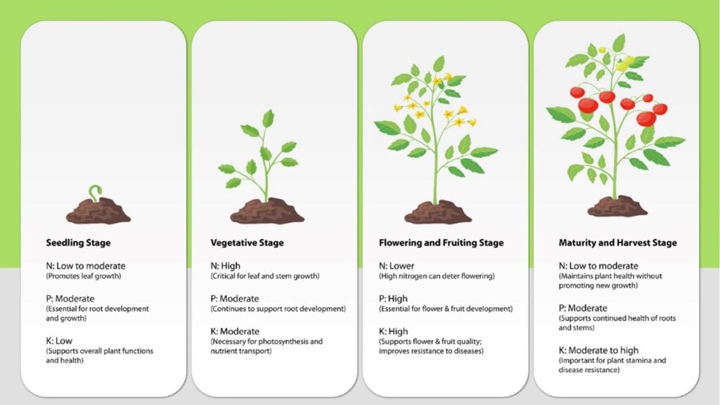 Optimizing NPK in Fertilizers - INO Nature